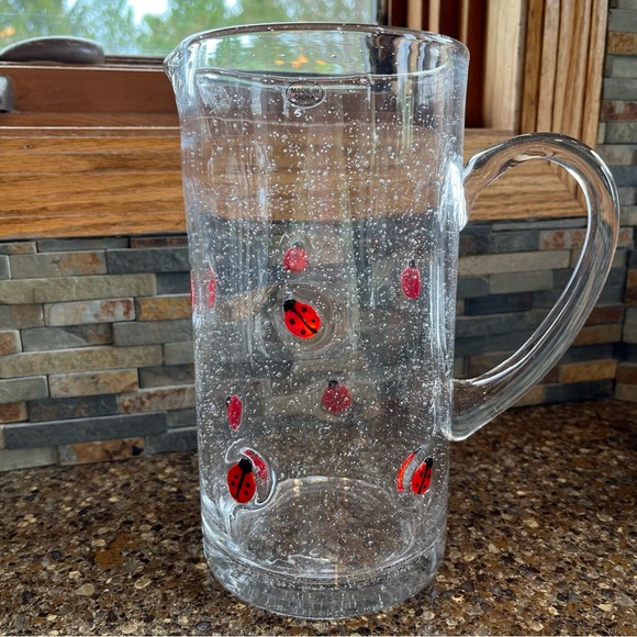 Kitchen | Blown Glass Bubble Ladybug Pitcher | Poshmark